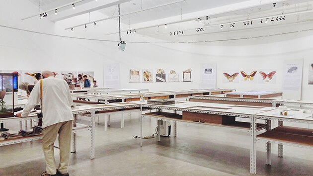 125.660 Spesimen Sejarah Alam | British Council