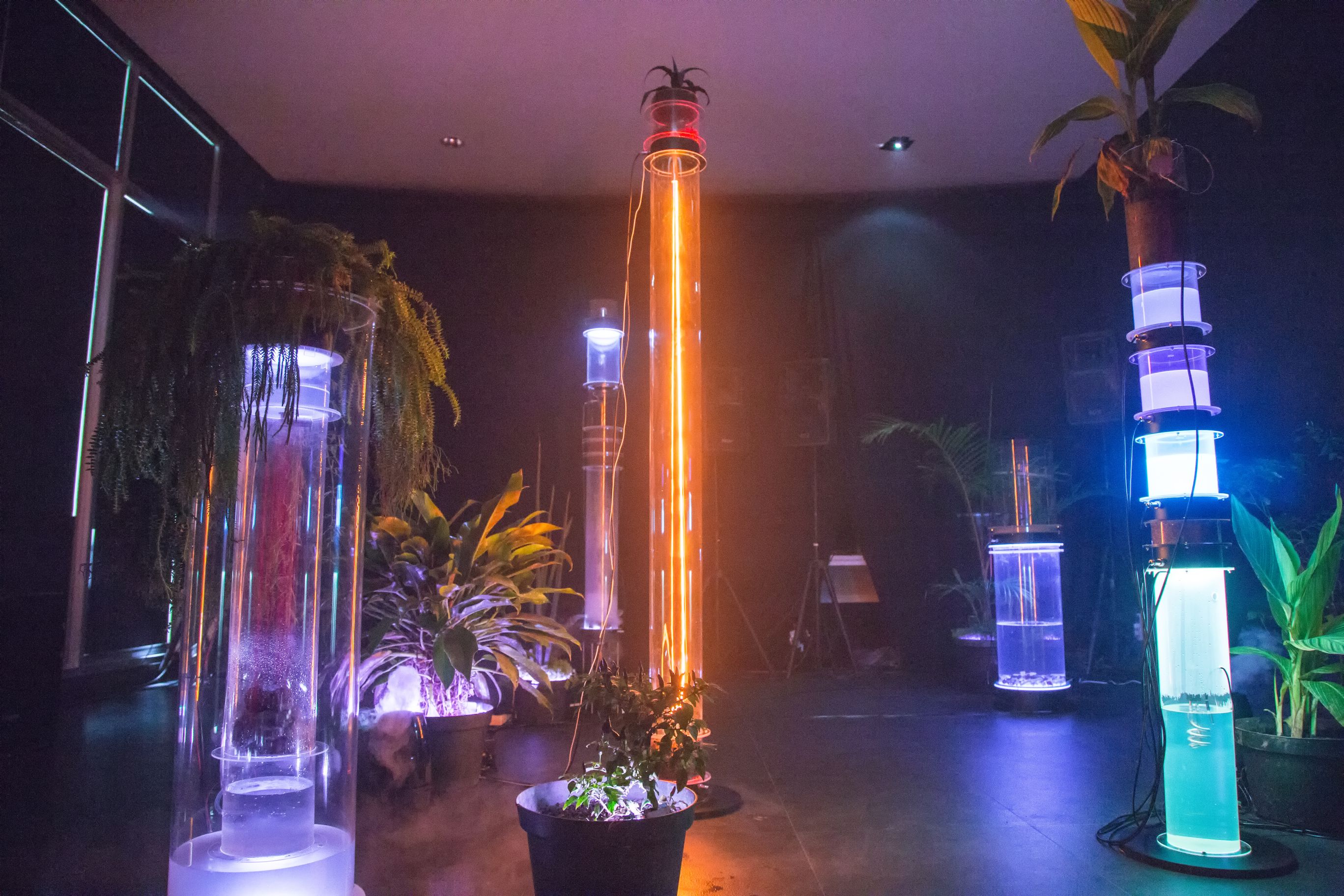 Panggilan terbuka untuk seniman cahaya (light artist) | British Council